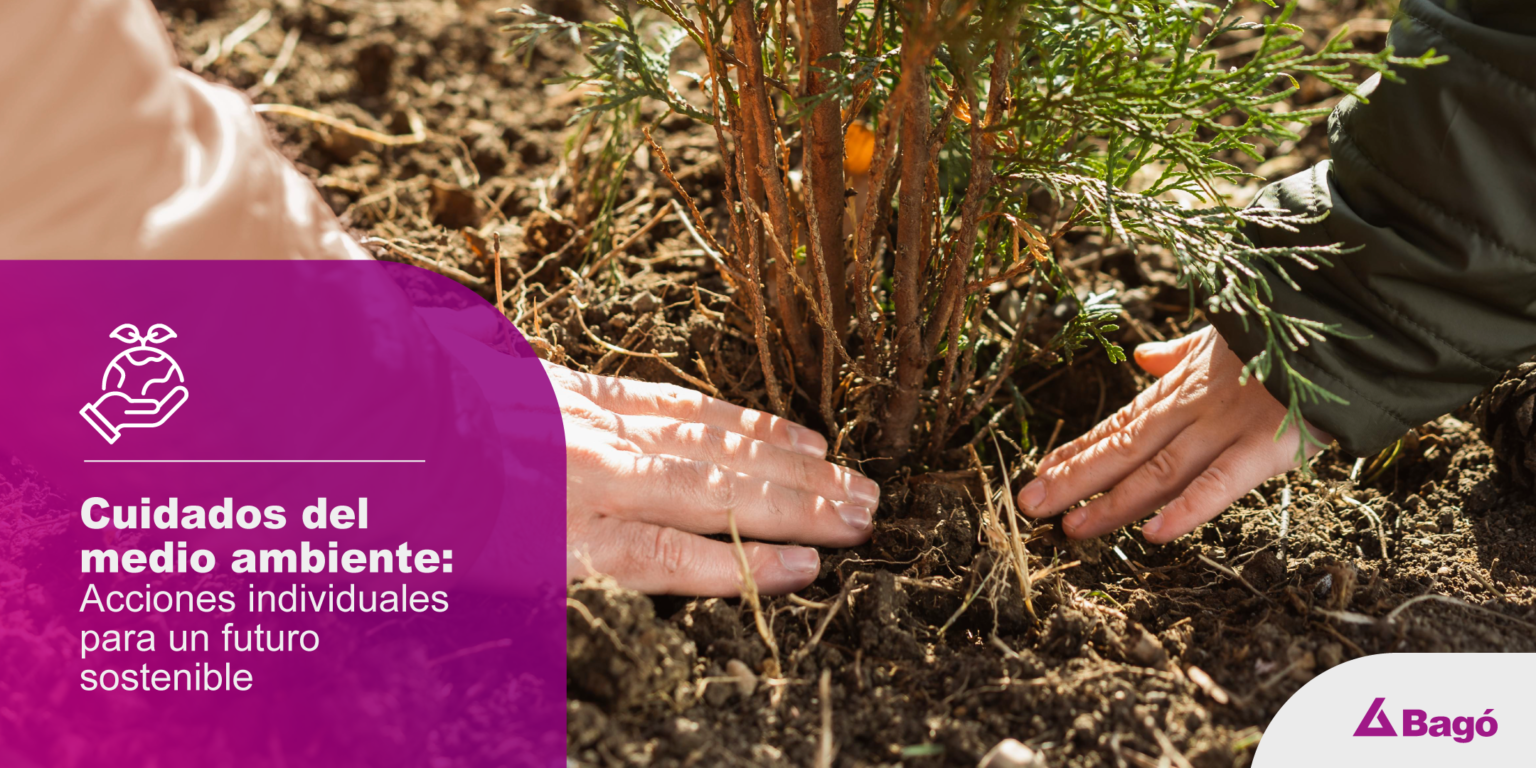 Cuidados del Medio Ambiente: Acciones Individuales para un Futuro ...