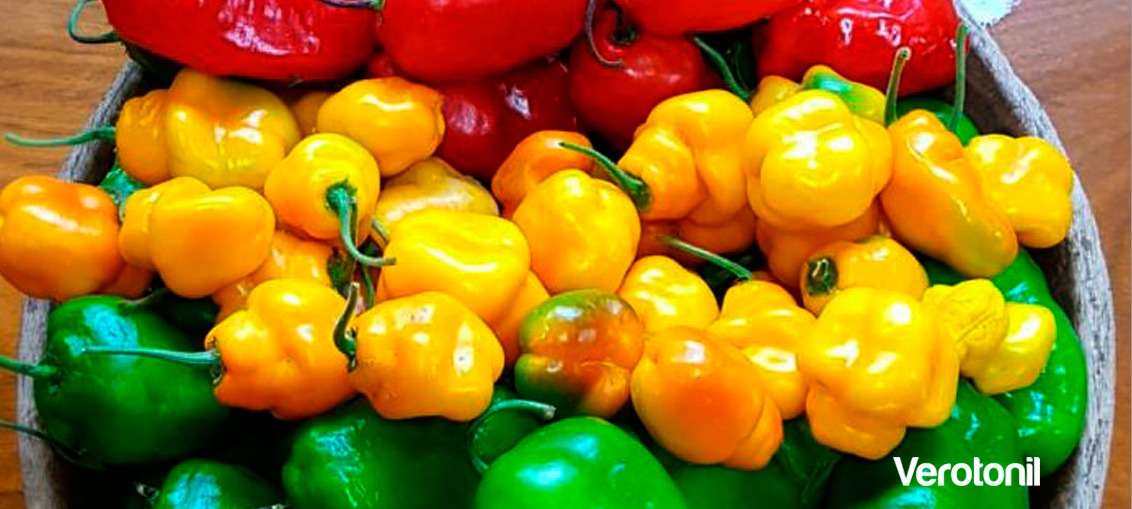 Beneficios del Locoto | Salud y Bienestar Bagó